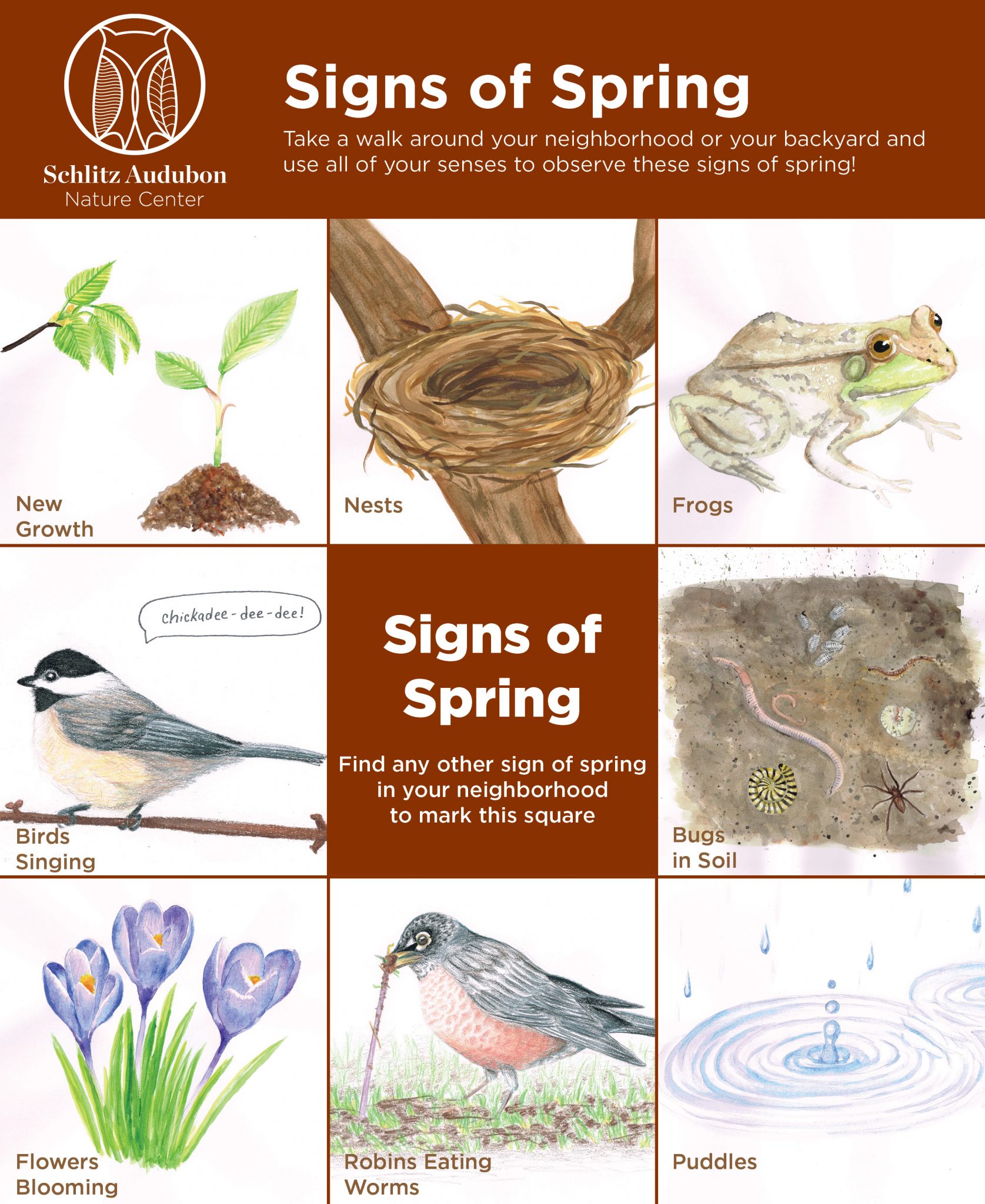 Nature from Home - Schlitz Audubon