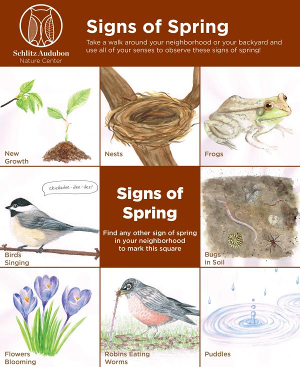 Nature from Home - Schlitz Audubon