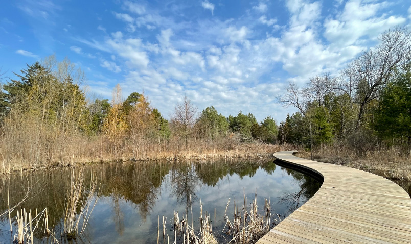 Plan Your Visit in All Seasons | Schlitz Audubon Nature Center