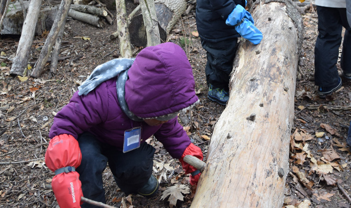 Inclusive Nature Experiences for Early Learners - Schlitz Audubon