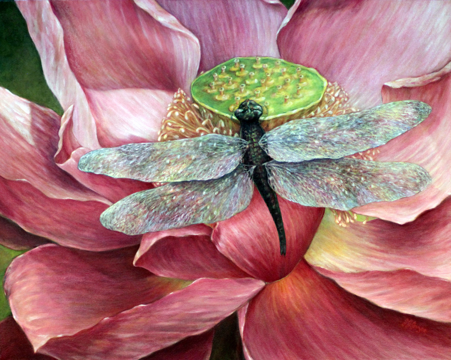Artist Reception: Fox Point Artists - Schlitz Audubon