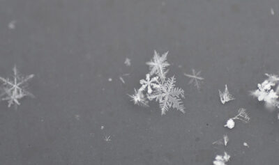 The Science of Snowflakes - Schlitz Audubon