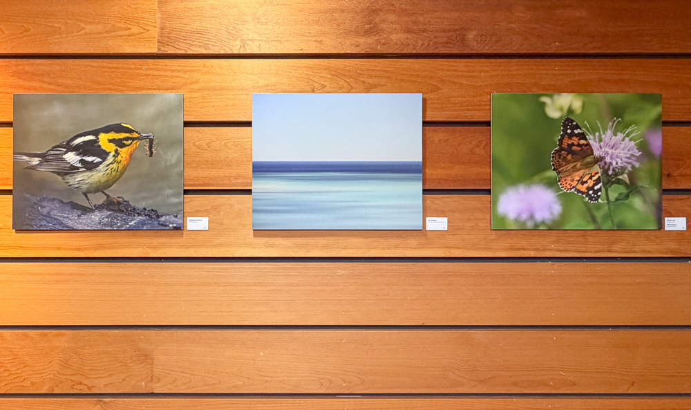 Artist Reception: VIVID Photo Collection by Zoe Finney - Schlitz Audubon