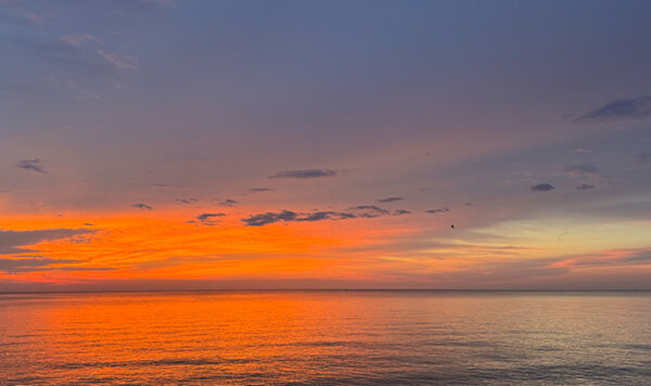 Winter's Unexpected Colors - Schlitz Audubon